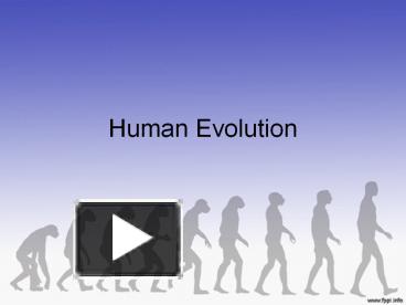 Human Evolution presentation | free to view