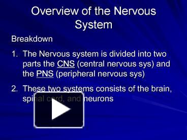 Overview of the Nervous System presentation | free to download