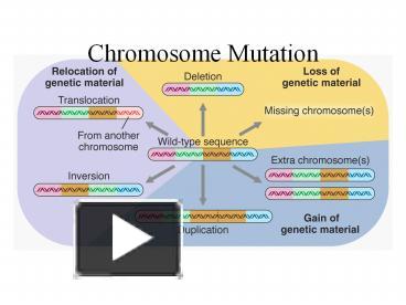 Chromosome Mutation presentation | free to download