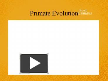 PPT – Primate Evolution PowerPoint presentation | free to view - id ...