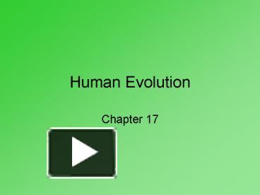 Human Evolution presentation | free to view