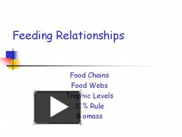 Feeding Relationships presentation | free to view