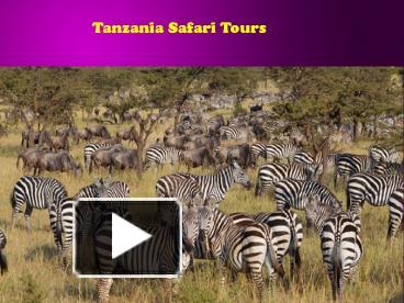 PPT – Tanzania Safari Tours PowerPoint presentation | free to download - id: 7007a6-NTgxM