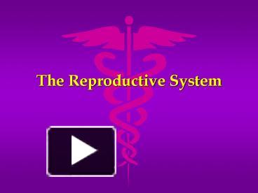 PPT – The Reproductive System PowerPoint presentation | free to ...