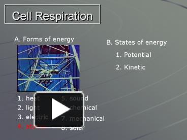 Cell Respiration presentation | free to download
