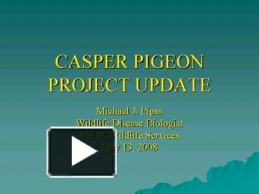 PPT – CASPER PIGEON PROJECT UPDATE PowerPoint presentation | free to view - id: 705da-NmJiZ