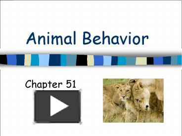 Animal Behavior presentation | free to download