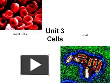 Unit 3 Cells presentation | free to view