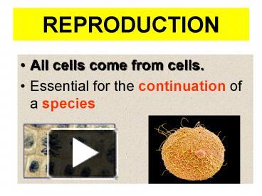 PPT – REPRODUCTION PowerPoint presentation | free to download - id ...