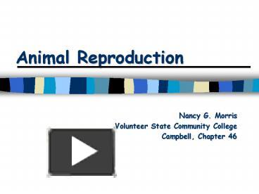 Animal Reproduction presentation | free to view