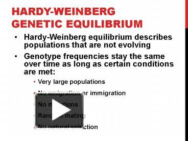 PPT – Hardy-Weinberg Genetic Equilibrium PowerPoint presentation | free ...