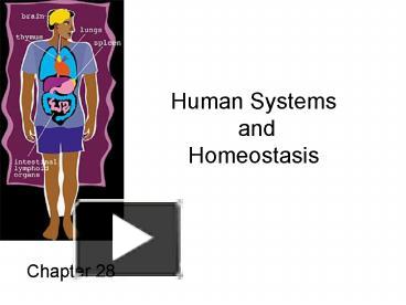 PPT – Human Systems and Homeostasis PowerPoint presentation | free to ...