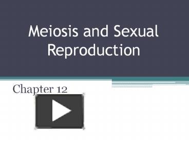 PPT – Meiosis and Sexual Reproduction PowerPoint presentation | free to ...