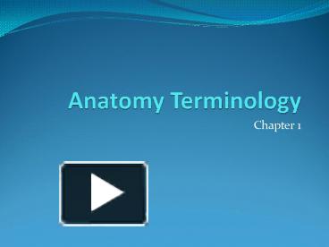 Anatomy Terminology presentation | free to view