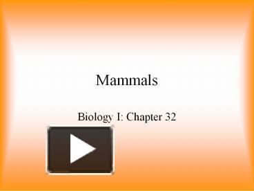 Mammals presentation | free to download