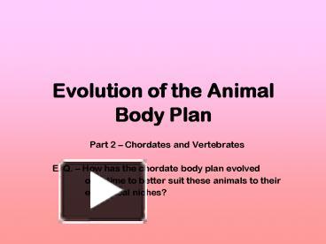 Evolution of the Animal Body Plan presentation | free to view