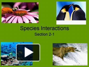 PPT – Species Interactions PowerPoint presentation | free to download ...
