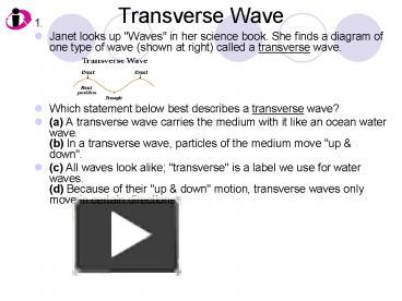 PPT – Transverse Wave PowerPoint presentation | free to download - id ...