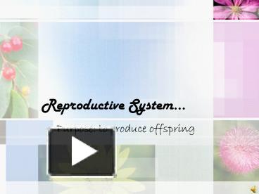 PPT – Reproductive System PowerPoint presentation | free to view - id ...