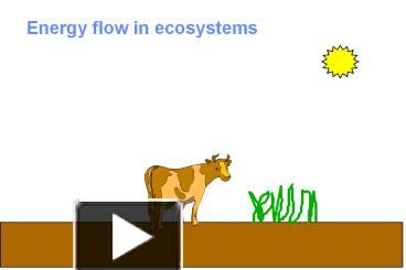 Energy%20flow%20in%20ecosystems presentation | free to download