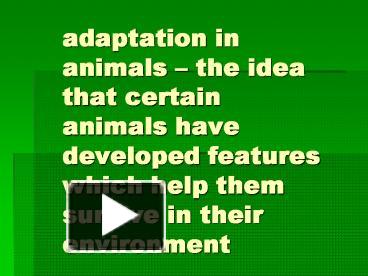 adaptation in animals presentation | free to download