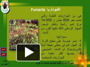 PPT – ?????????? Funaria PowerPoint presentation | free to view - id: 712f71-ZDVjM