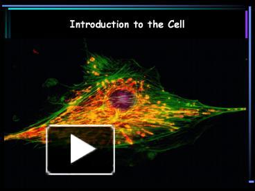 PPT – Introduction to the Cell PowerPoint presentation | free to view ...