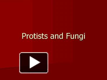 Protists and Fungi presentation | free to download