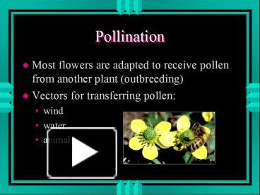 Pollination presentation | free to view