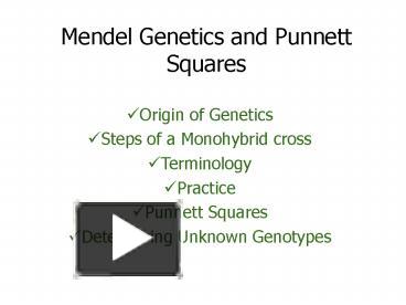 PPT – Mendel Genetics and Punnett Squares PowerPoint presentation ...