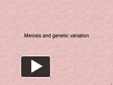 PPT – Meiosis and genetic variation PowerPoint presentation | free to ...