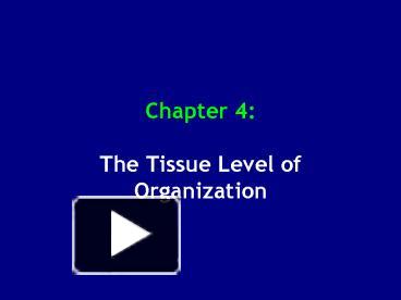 Chapter 4: The Tissue Level of Organization presentation | free to view