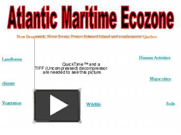 PPT – Atlantic Maritime Ecozone PowerPoint presentation | free to view - id: 717a97-ZWUyM