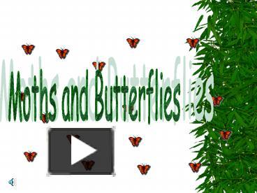 PPT – Moths and Butterflies PowerPoint presentation | free to view - id ...