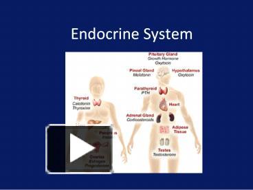 Endocrine System presentation | free to download