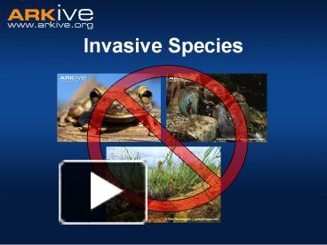 PPT – Invasive Species PowerPoint presentation | free to view - id ...