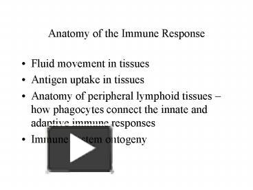 PPT – Anatomy of the Immune Response PowerPoint presentation | free to ...