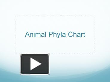 PPT – Animal Phyla Chart PowerPoint presentation | free to view - id ...