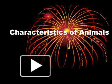PPT – Characteristics of Animals PowerPoint presentation | free to view ...