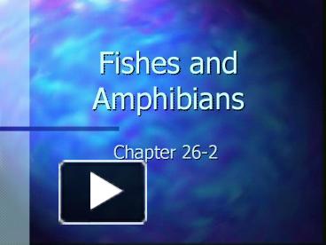 Fishes and Amphibians presentation | free to view