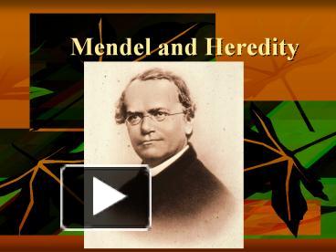 PPT – Mendel and Heredity PowerPoint presentation | free to download ...