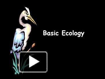 Basic Ecology presentation | free to view