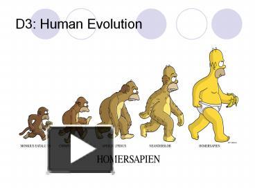 D3: Human Evolution presentation | free to download