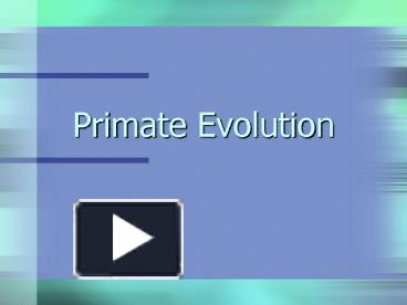 PPT – Primate Evolution PowerPoint presentation | free to view - id ...