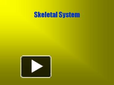 Skeletal System presentation | free to view