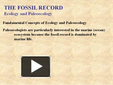PPT – THE FOSSIL RECORD PowerPoint presentation | free to download - id ...