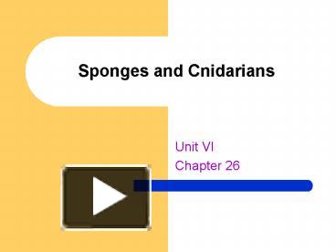 Sponges and Cnidarians presentation | free to view