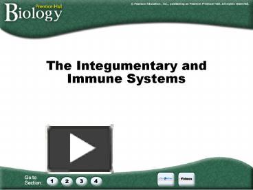 The Integumentary and Immune Systems presentation | free to view