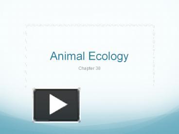 Animal Ecology presentation | free to download