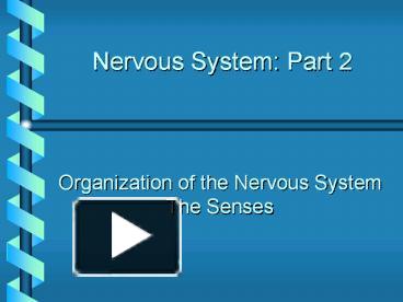 Nervous System: Part 2 presentation | free to view